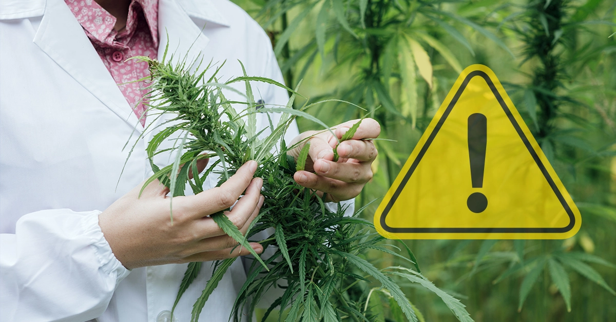 Proposition 65 Update: California’s OEHHA Starts Process to List ...